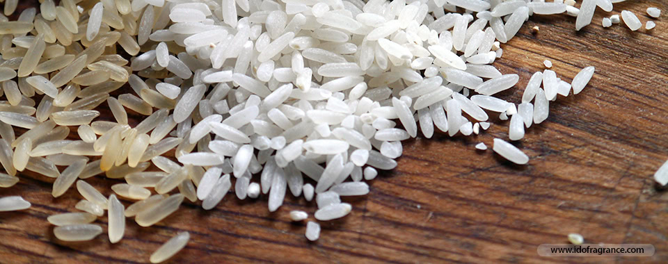rice smell – น้ำหอม ไอดู